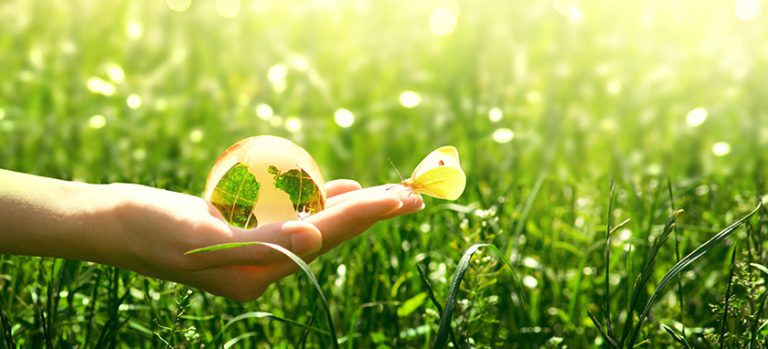 What is Environmental Waste Management – Cleveland Dumpster Rental Team